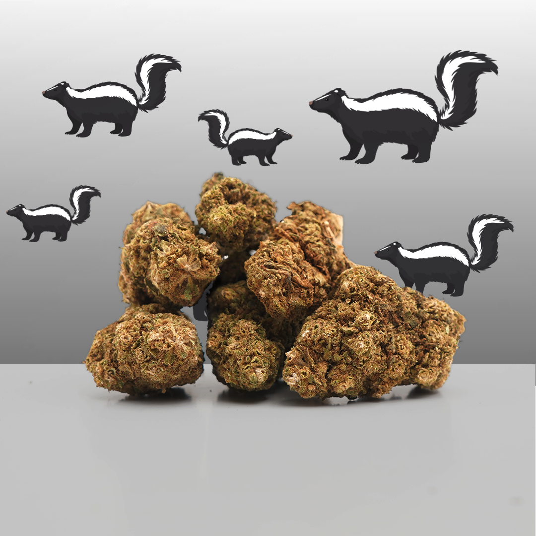 Super Skunk CBD 🦨 [Greenhouse] - Quality natural flowers