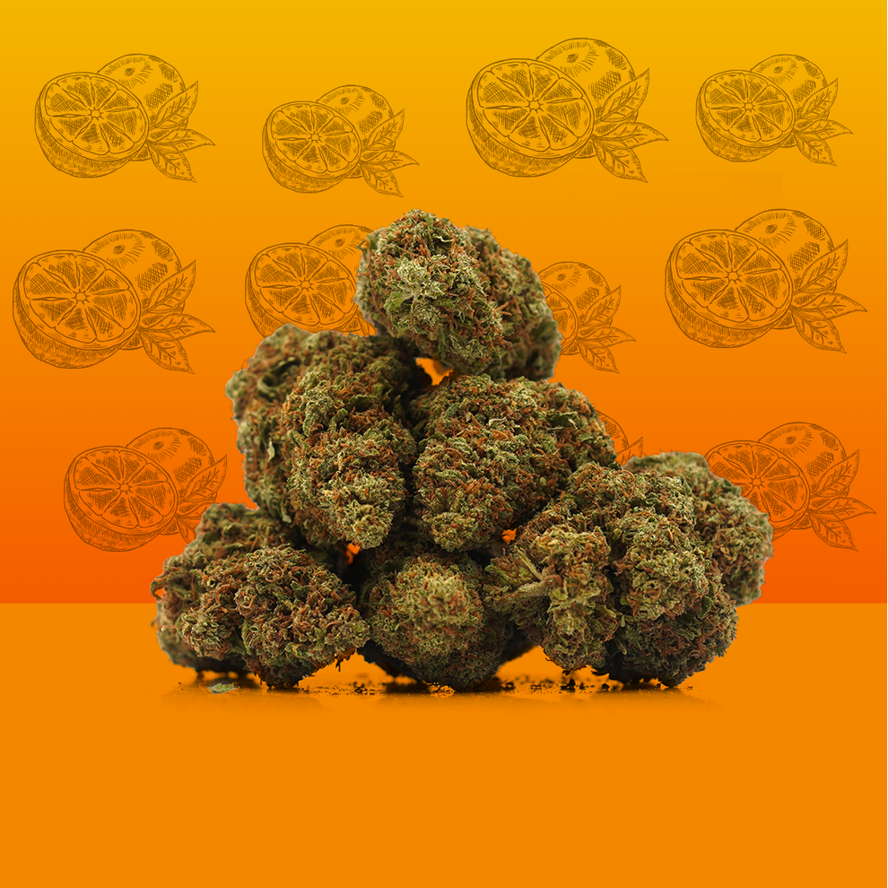 Orange Bud CBD [Sous-serre] Fleurs Naturelles Premium
